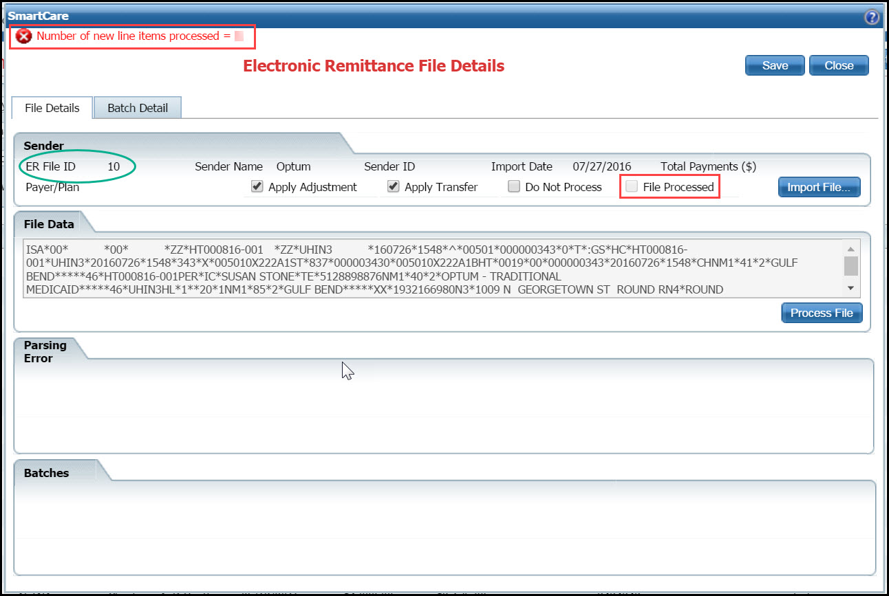 Manually Process an Electronic Remittance File